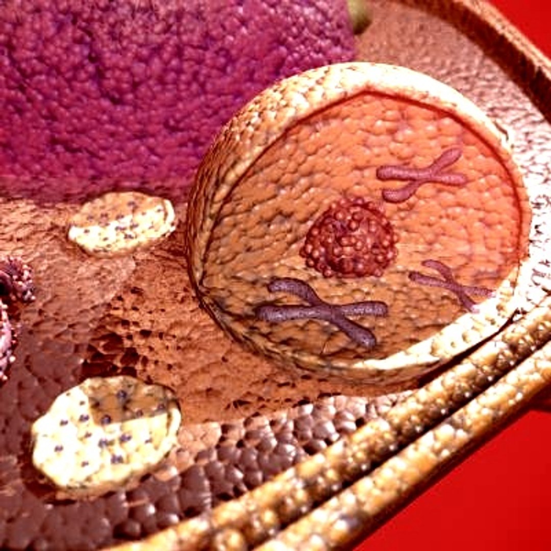 10 micro scenes 3d model