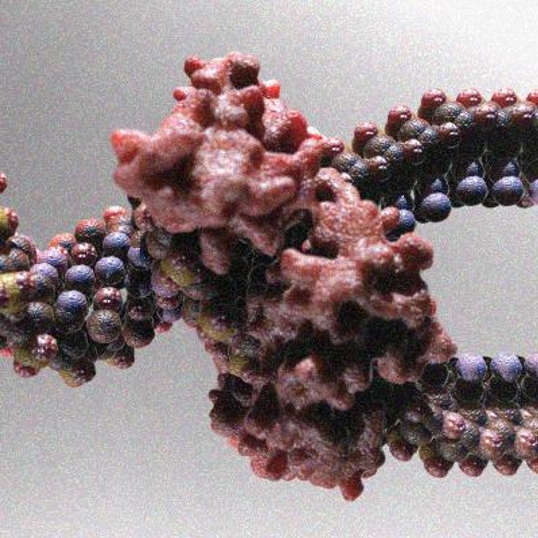 10 Micro Scenes 3d Model