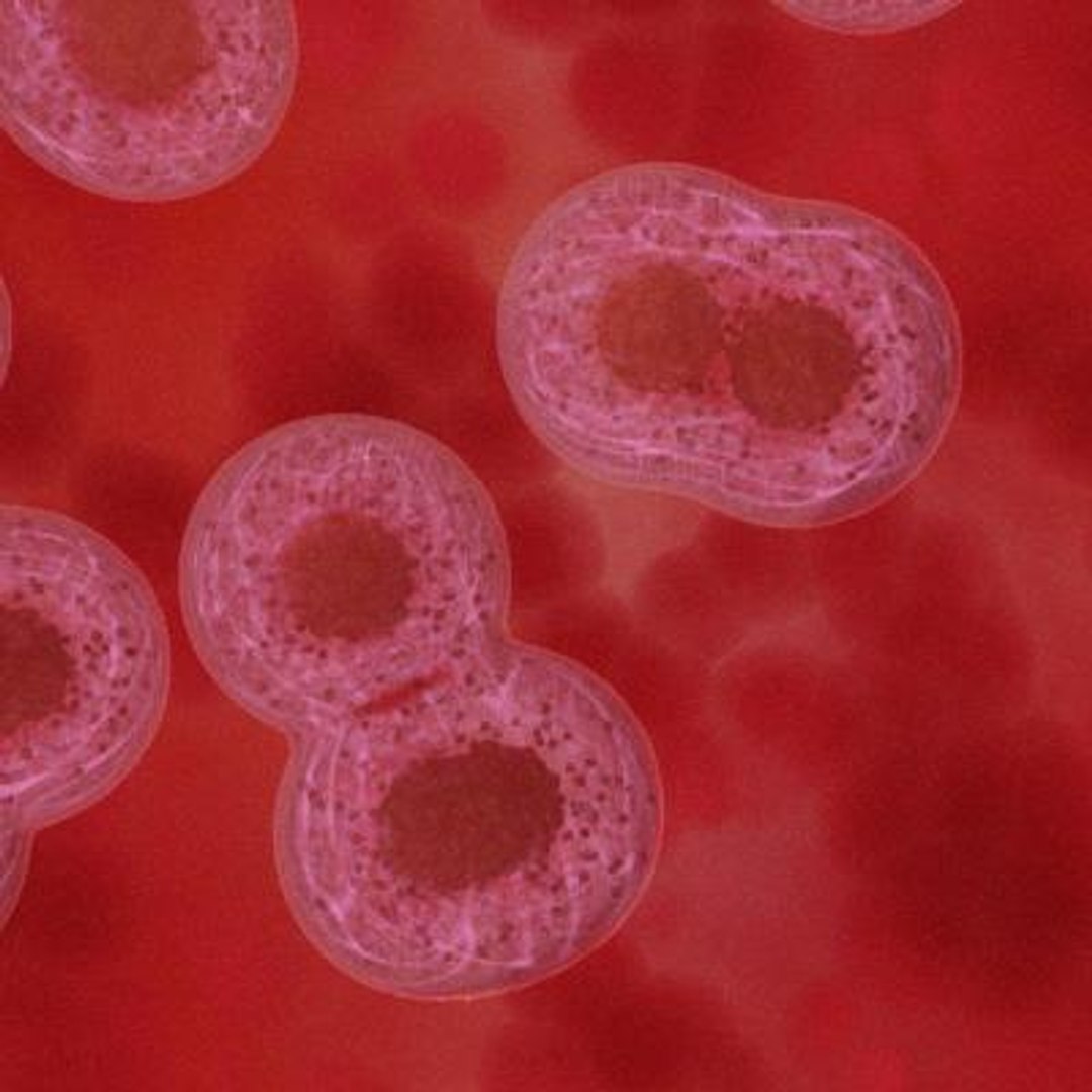 10 Micro Scenes 3d Model