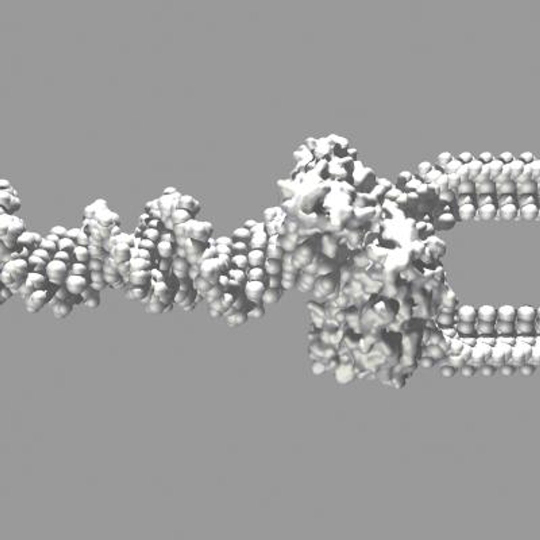 10 Micro Scenes 3d Model