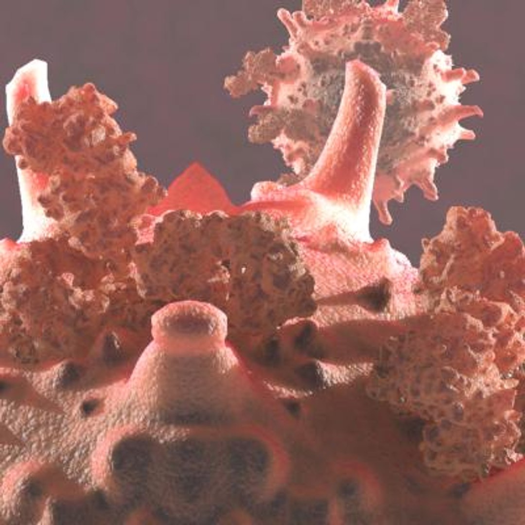 10 Micro Scenes 3d Model