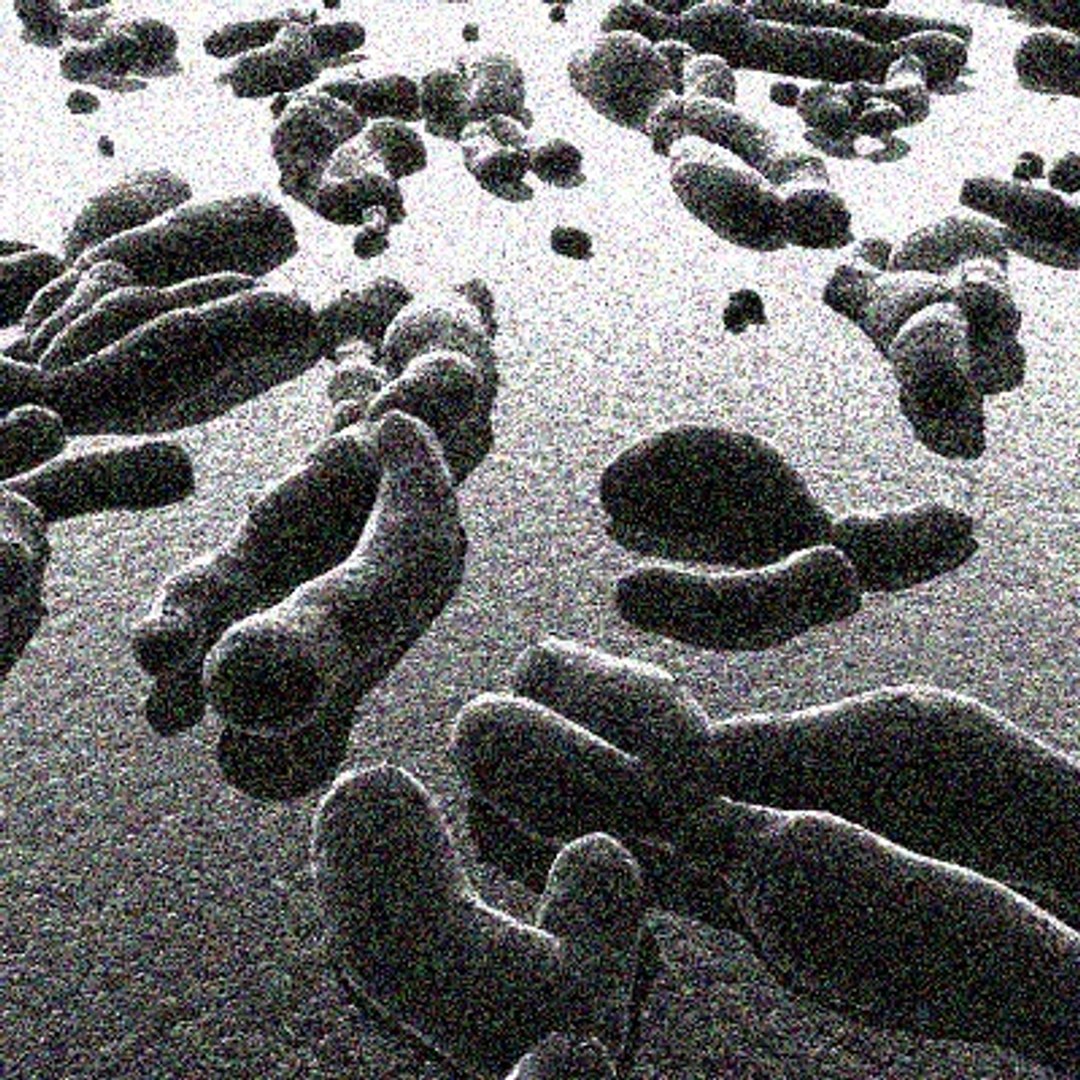 10 Micro Scenes 3d Model