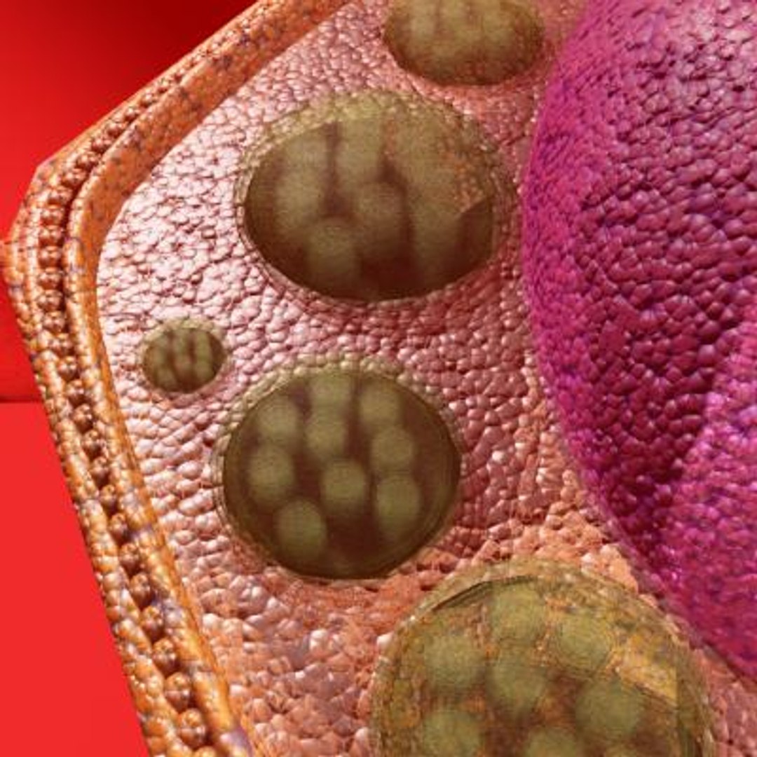 10 micro scenes 3d model