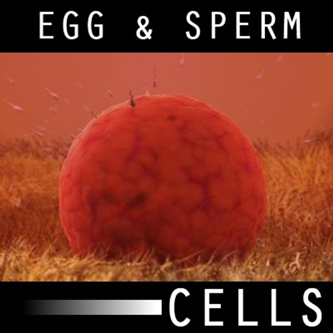 10 micro scenes 3d model