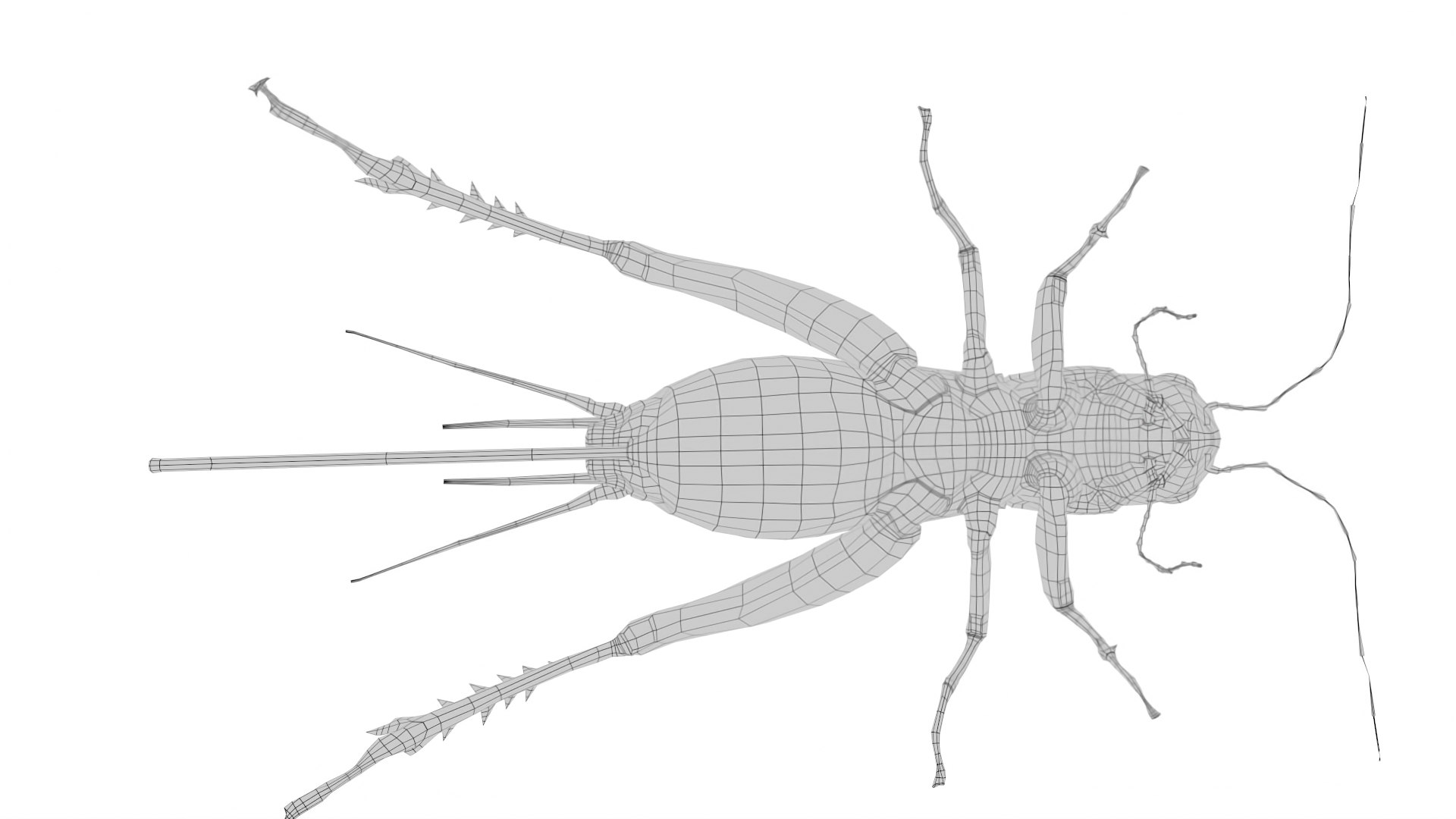 3D Cricket Model - TurboSquid 2409269