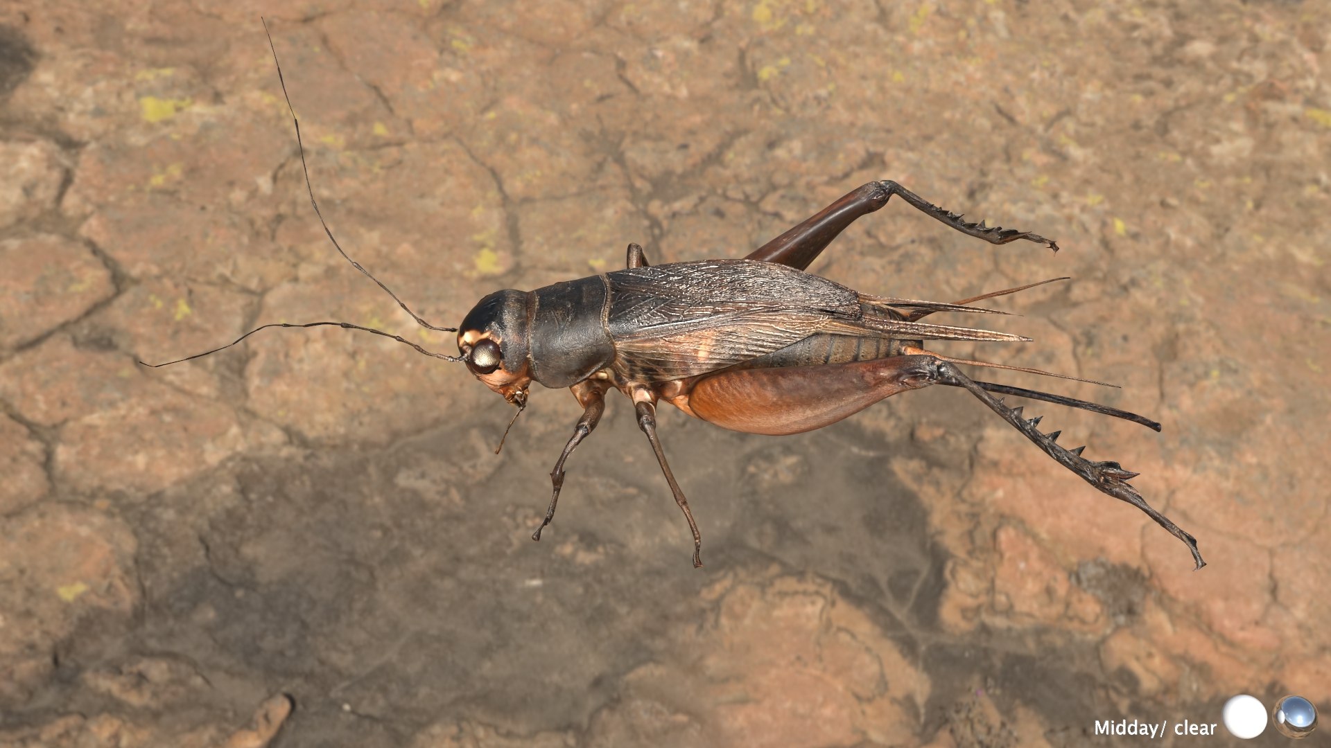 3D Cricket Model - TurboSquid 2409269