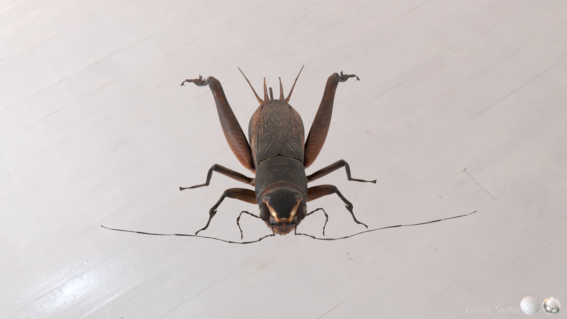 3D Cricket Model - TurboSquid 2409269
