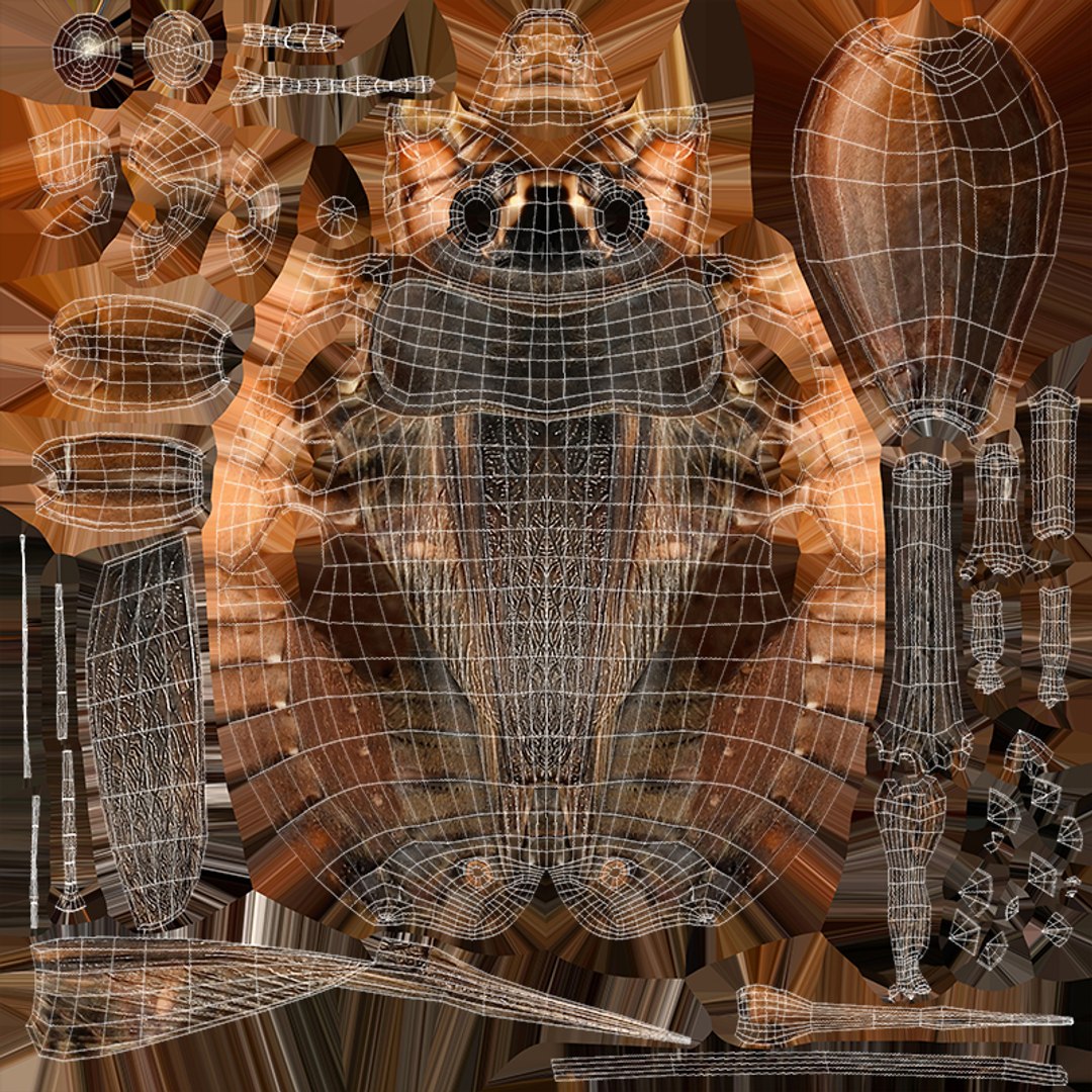 3D Cricket Model - TurboSquid 2409269