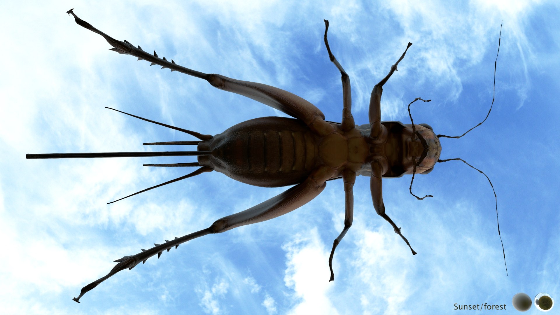 3D Cricket Model - TurboSquid 2409269