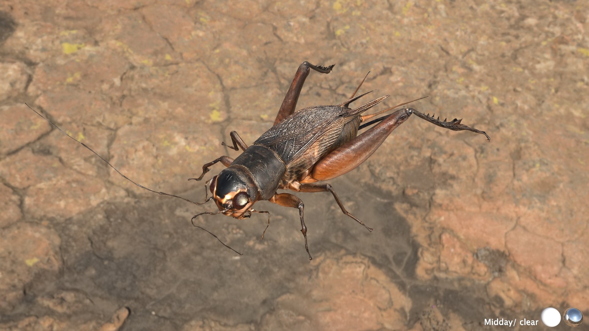 3D Cricket Model - TurboSquid 2409269