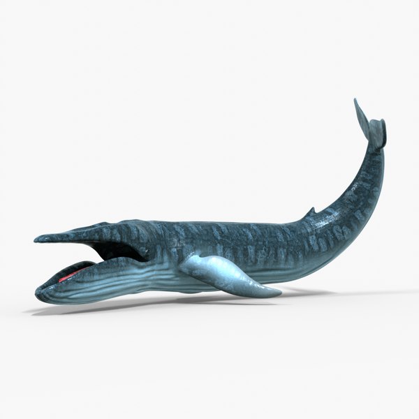 modèle 3D de Blue Whale Rigged - TurboSquid 2082280