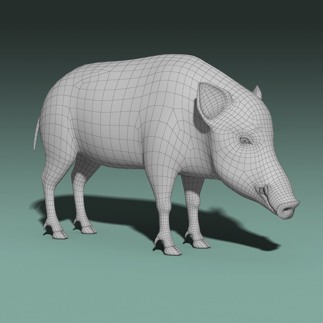 3d wild boar