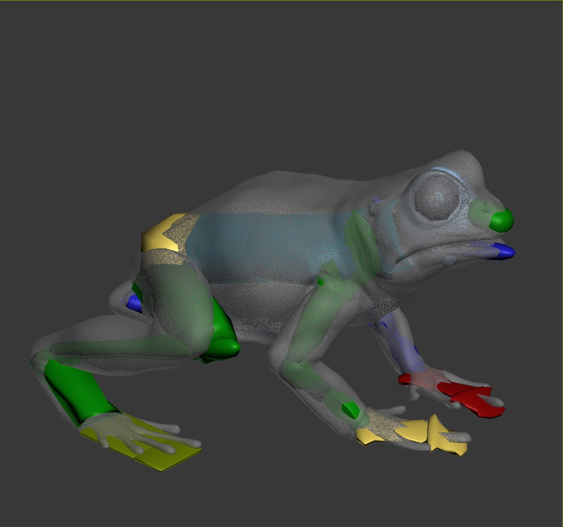Animal Frog 3D - TurboSquid 1685656