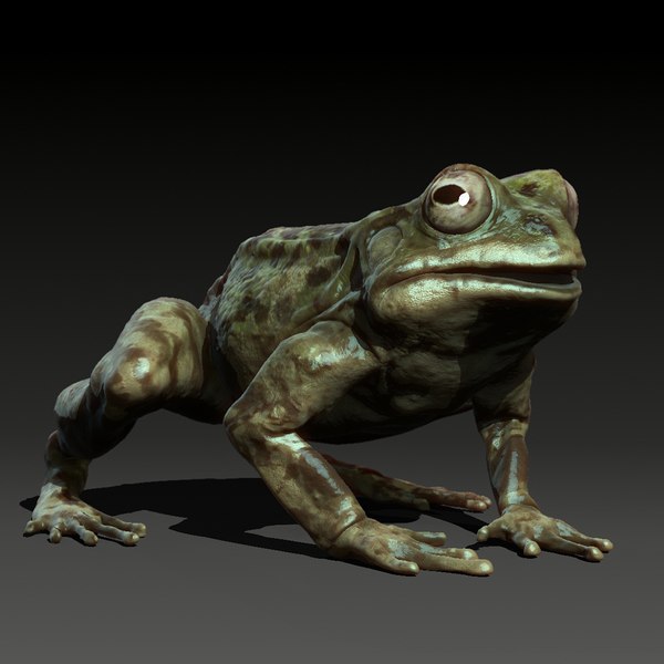 Animal frog 3D - TurboSquid 1685656