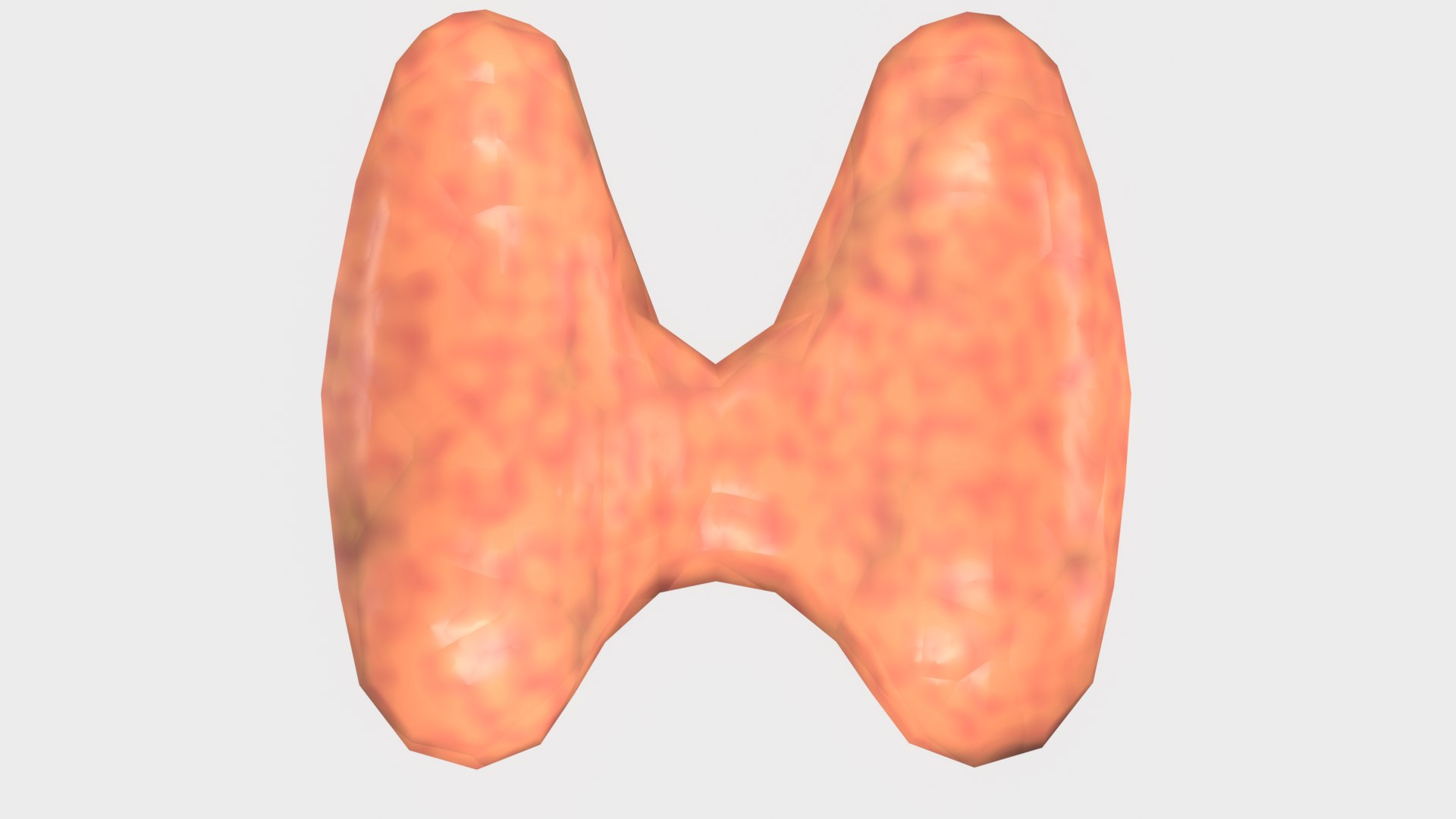 3D THYROID Model - TurboSquid 2109491