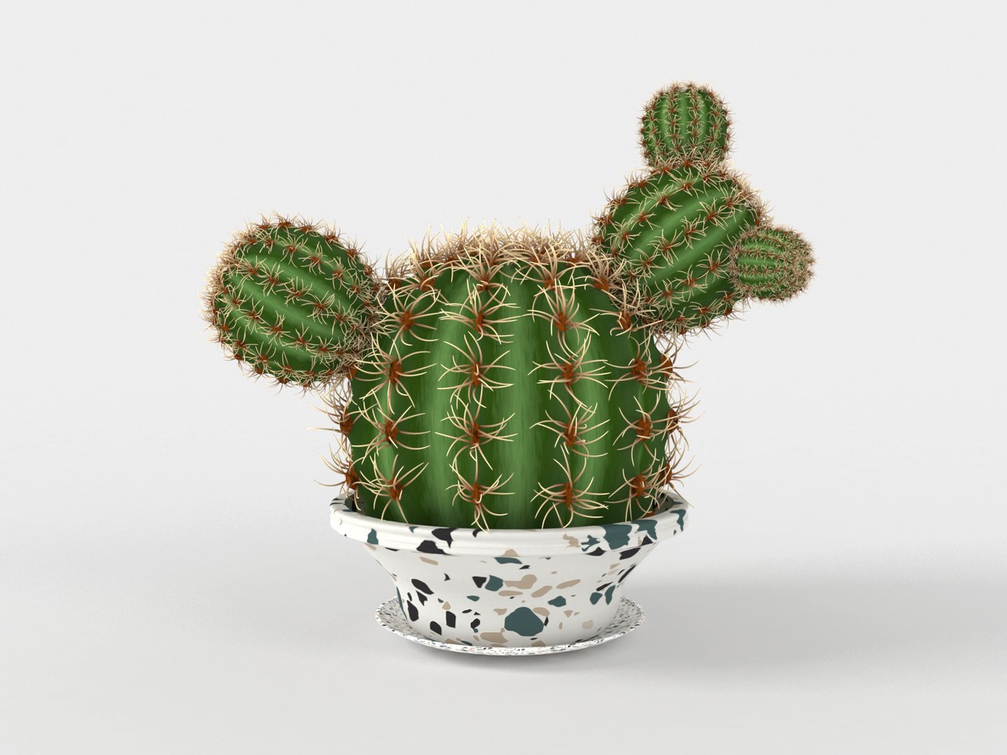 Cactus pot model - TurboSquid 1535106