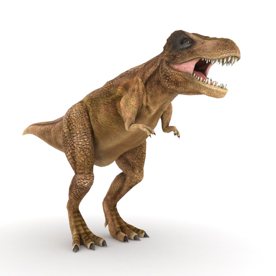 3D Model T-rex - - TurboSquid 1396291