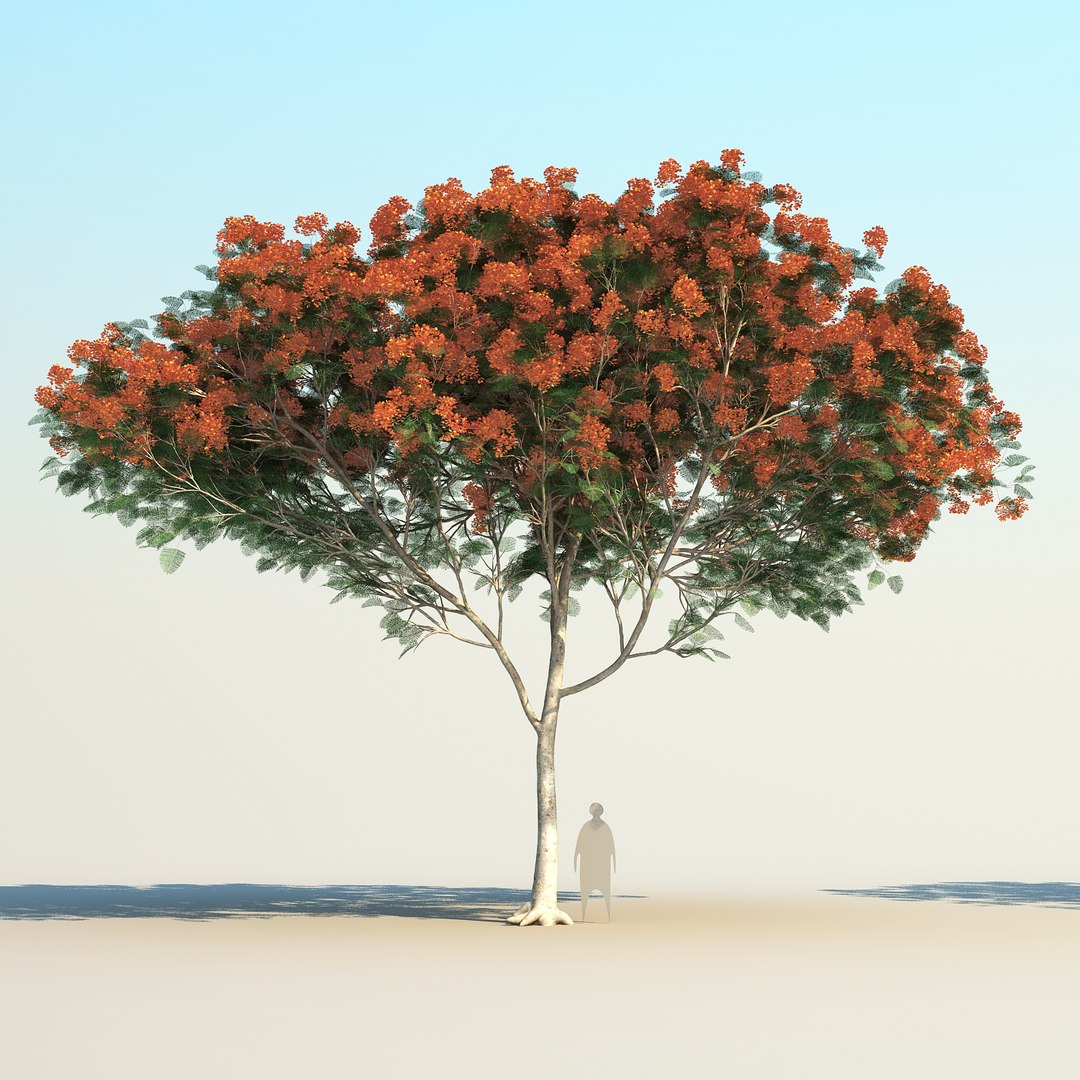 3d Model Tree Flowers