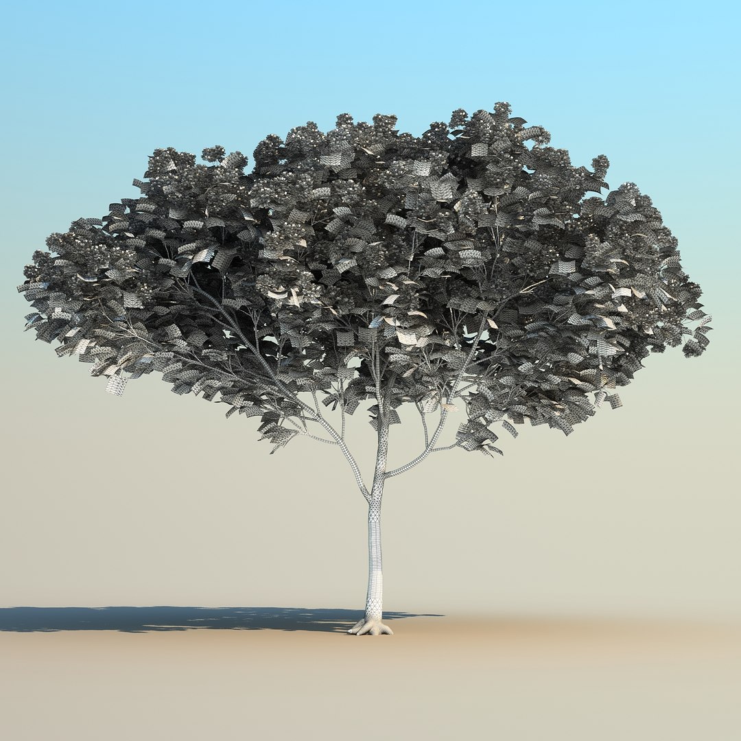 3d Model Tree Flowers