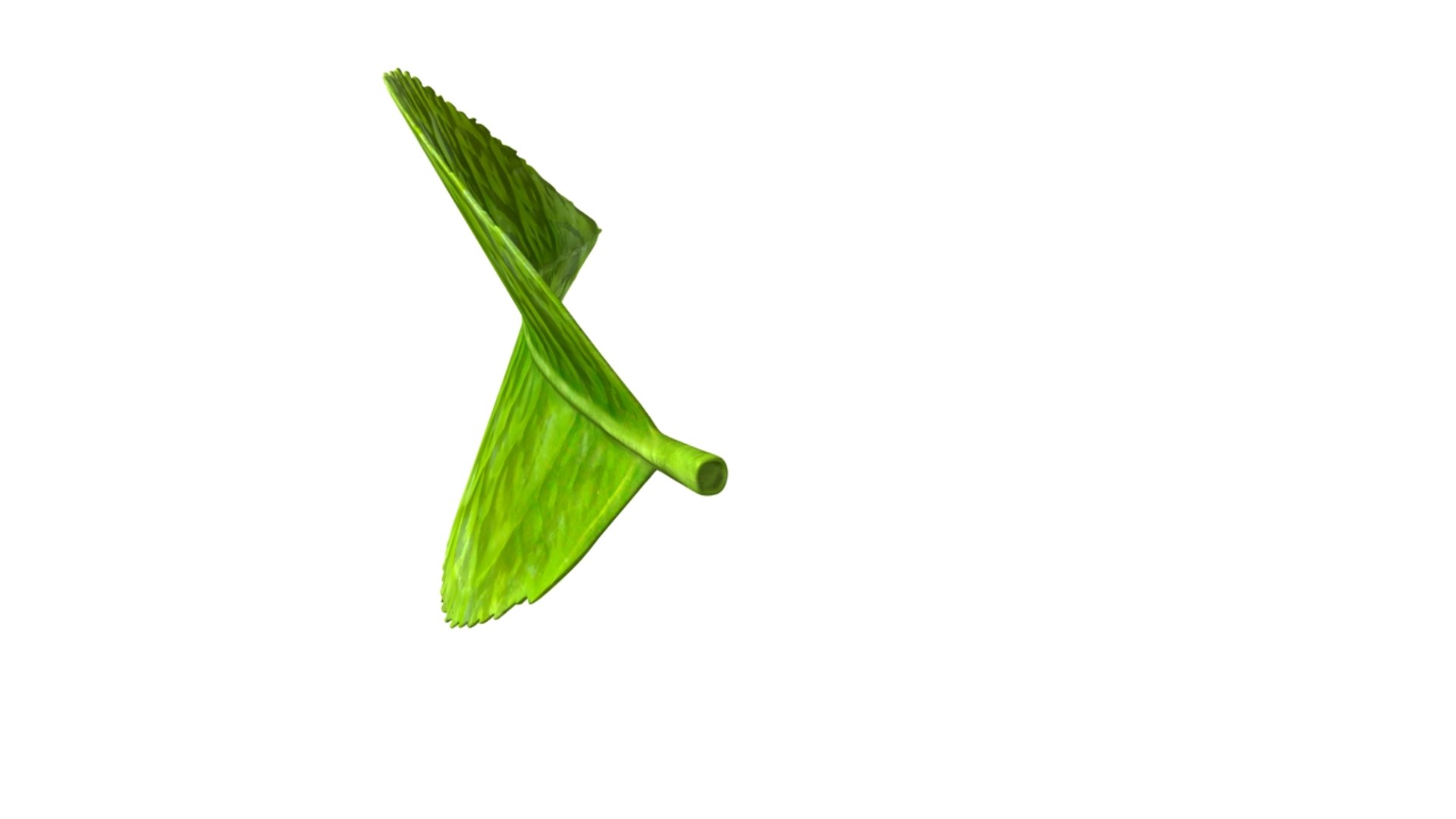 Tea Tree Leaf 3D - TurboSquid 1177230