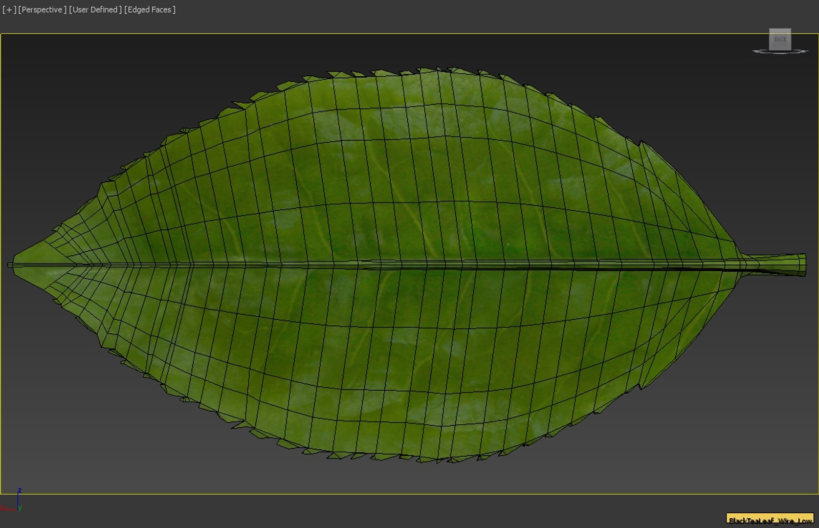 Tea Tree Leaf 3D - TurboSquid 1177230