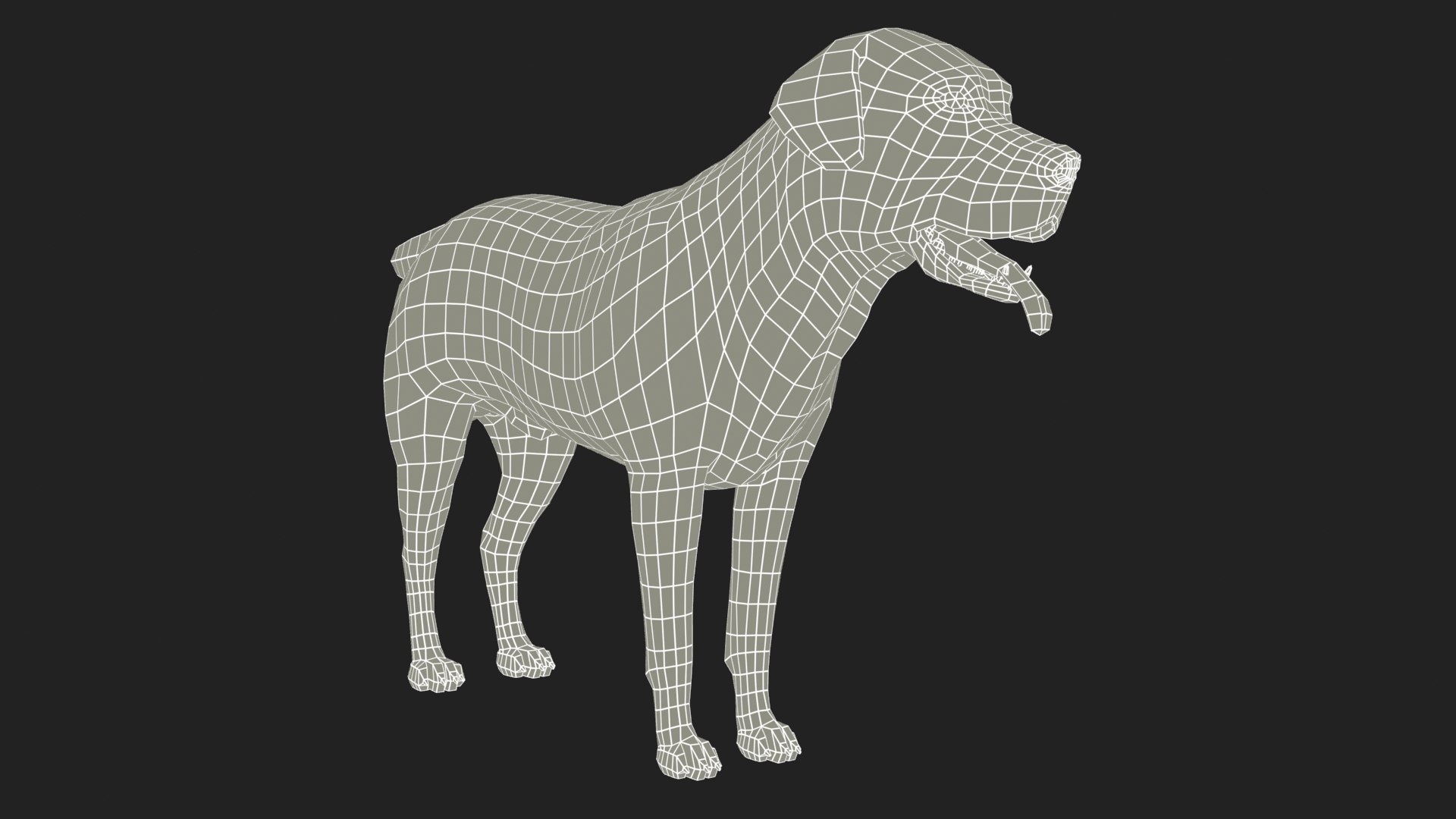 3D Model Labrador - TurboSquid 2037610