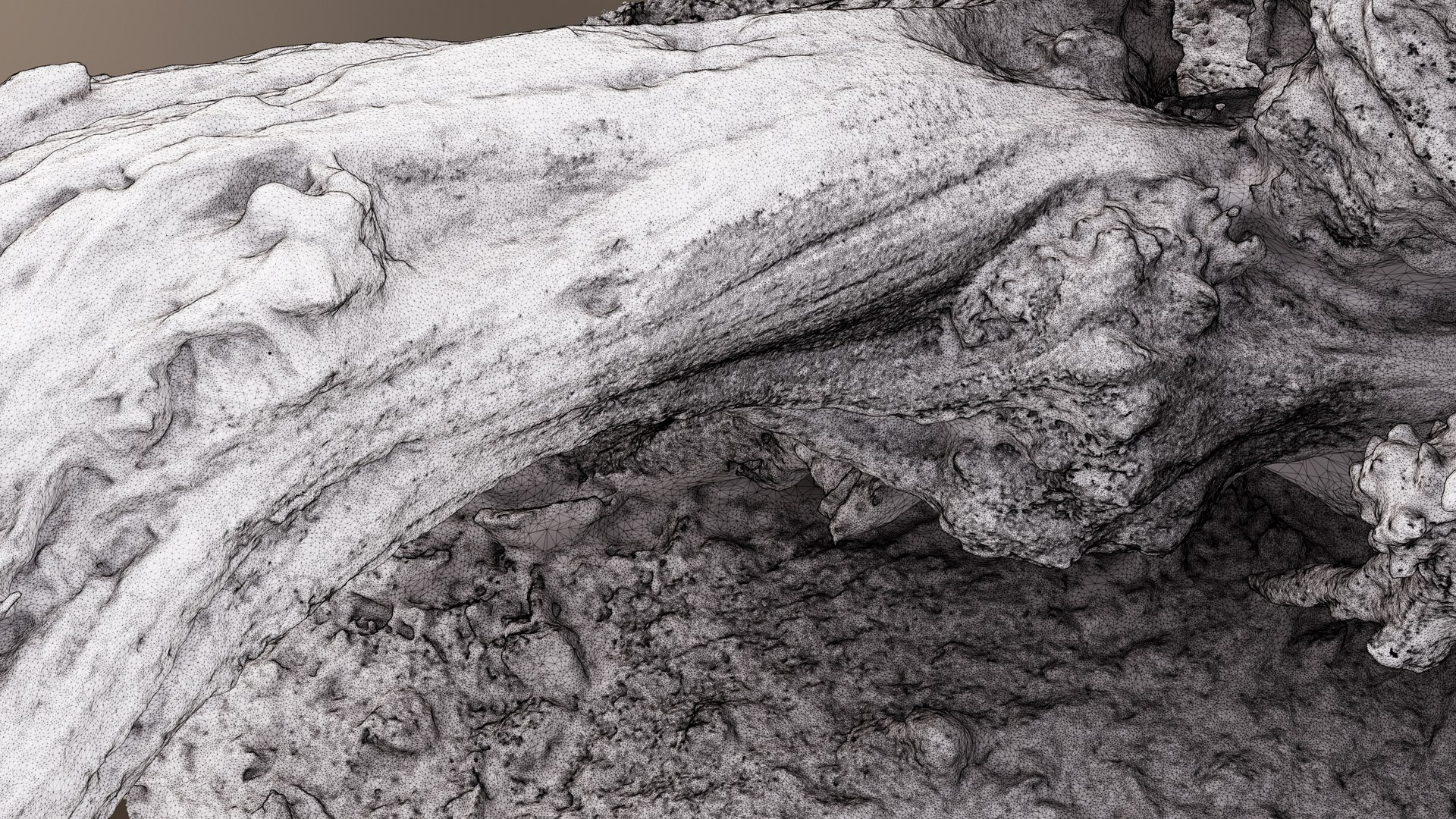 3d Model Dry Root Turbosquid 1971307