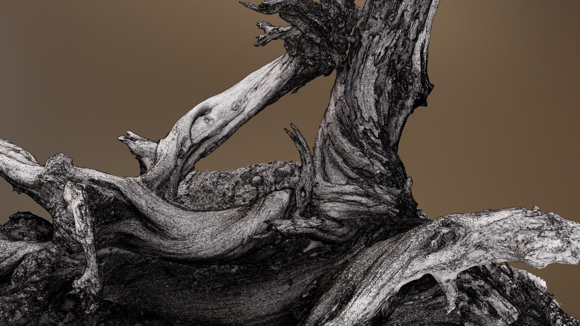 3D Model Dry Root - TurboSquid 1971307