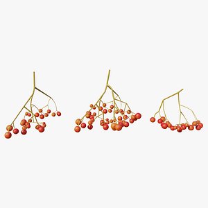 Fruit Blender 3D Models for Download | TurboSquid