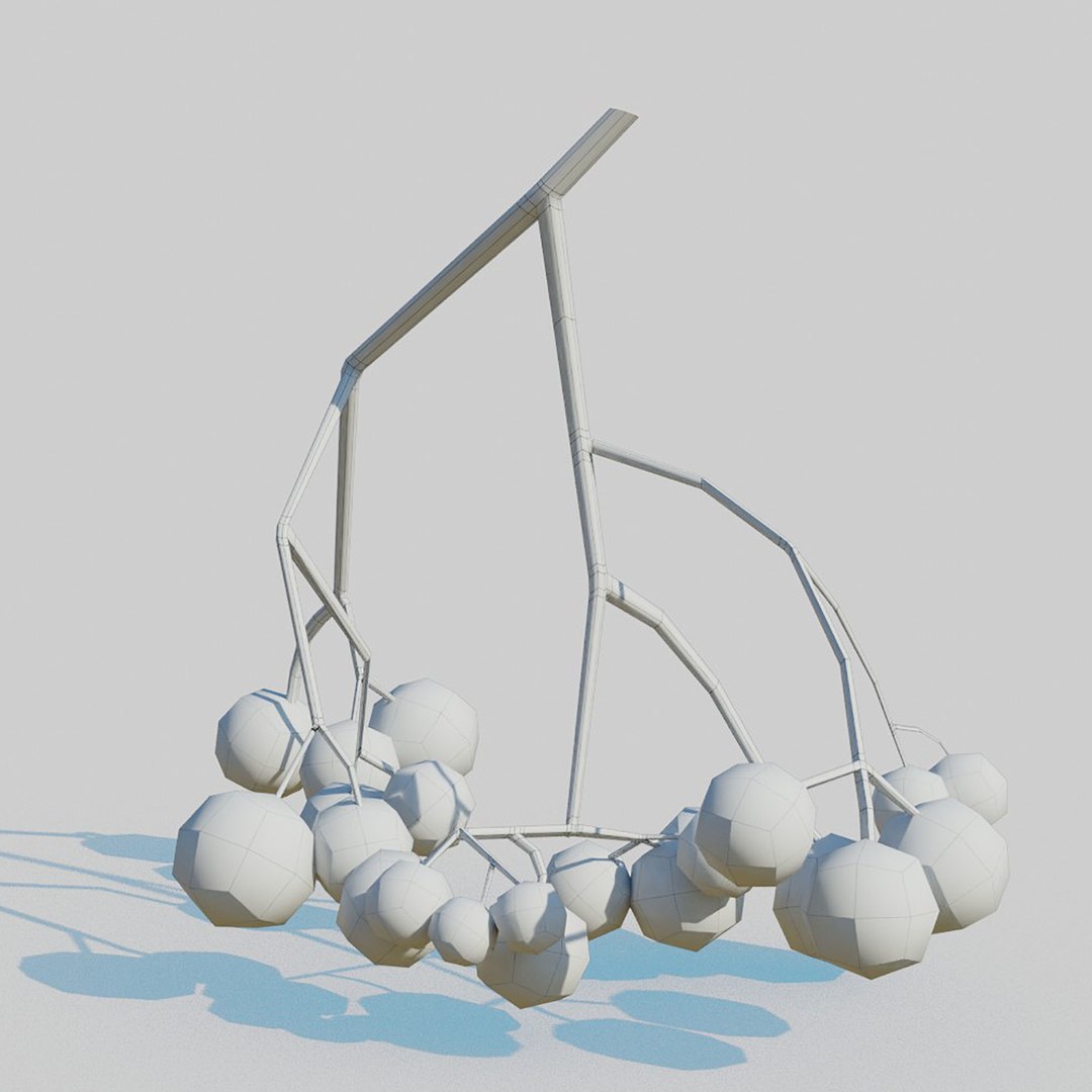 Mountain Ash Fruit 3D Model - TurboSquid 1813575