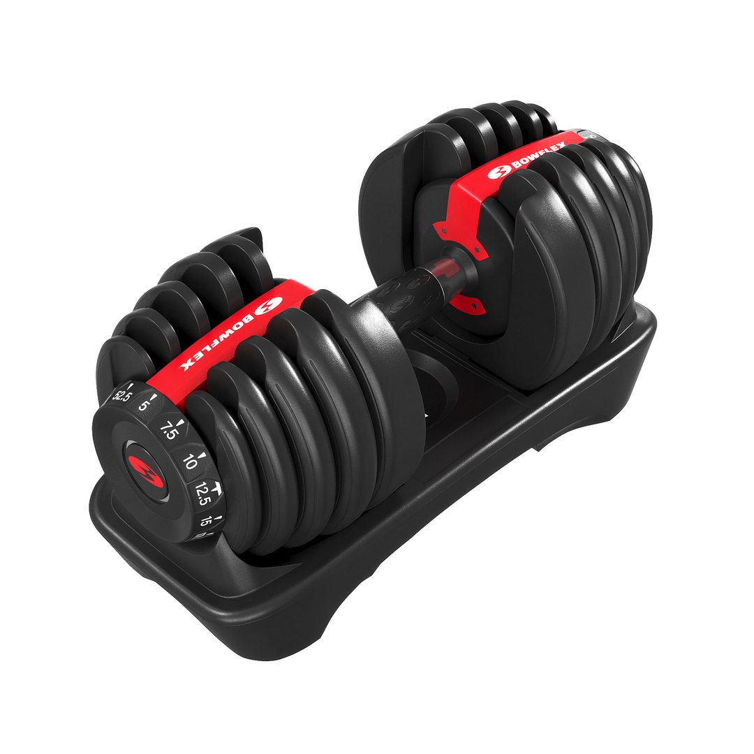 Bowflex Dumbbells 3D model - TurboSquid 1722969