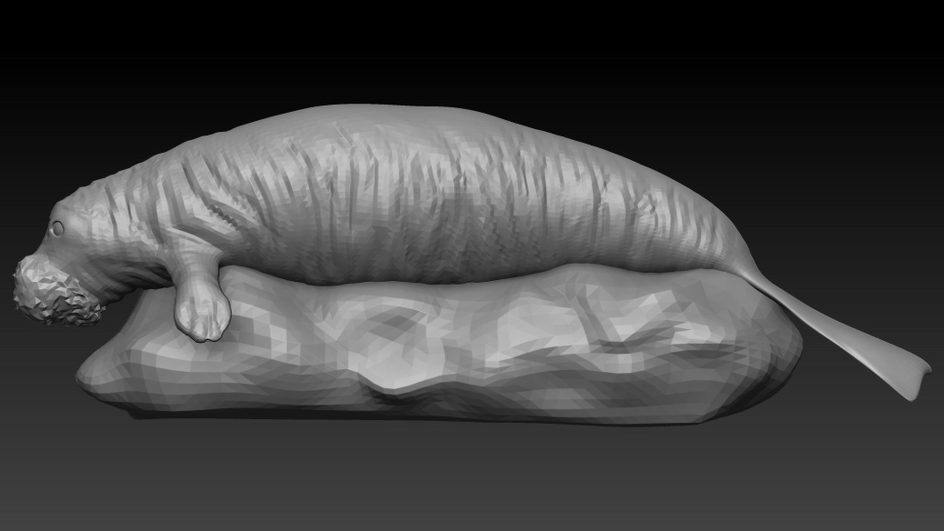 Manatee Stl Modelo 3D - TurboSquid 1774264