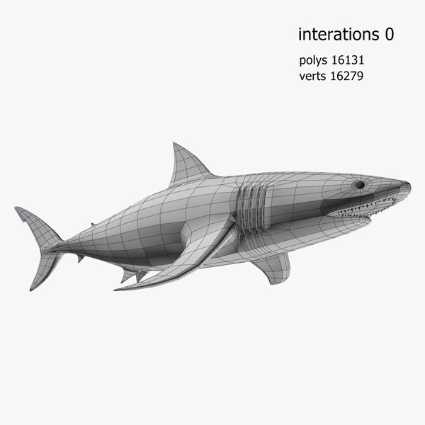 3d model of shark