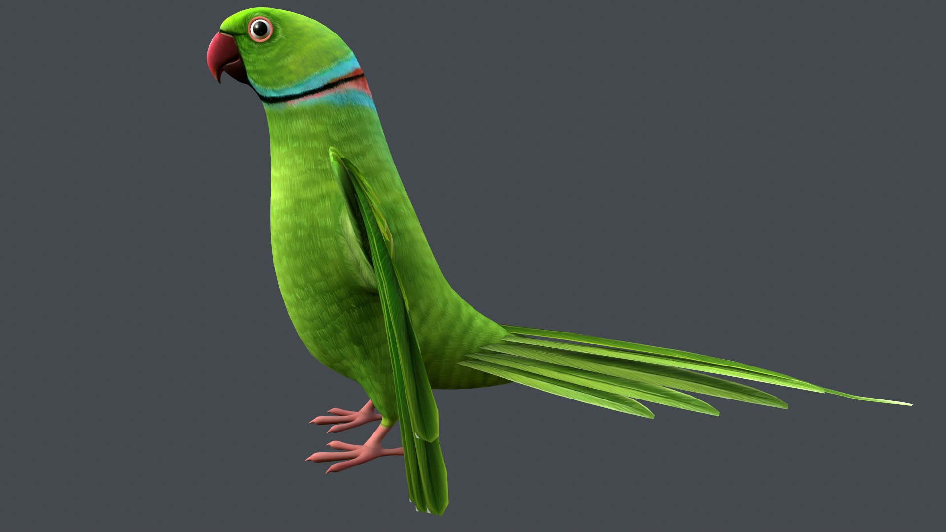 3D Model Parrot Stylized - TurboSquid 1596774