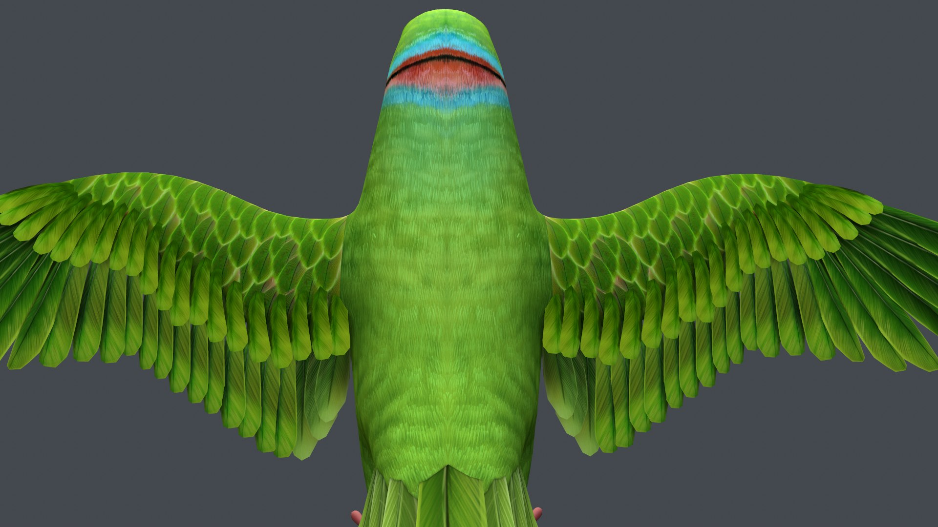 3D Model Parrot Stylized - TurboSquid 1596774