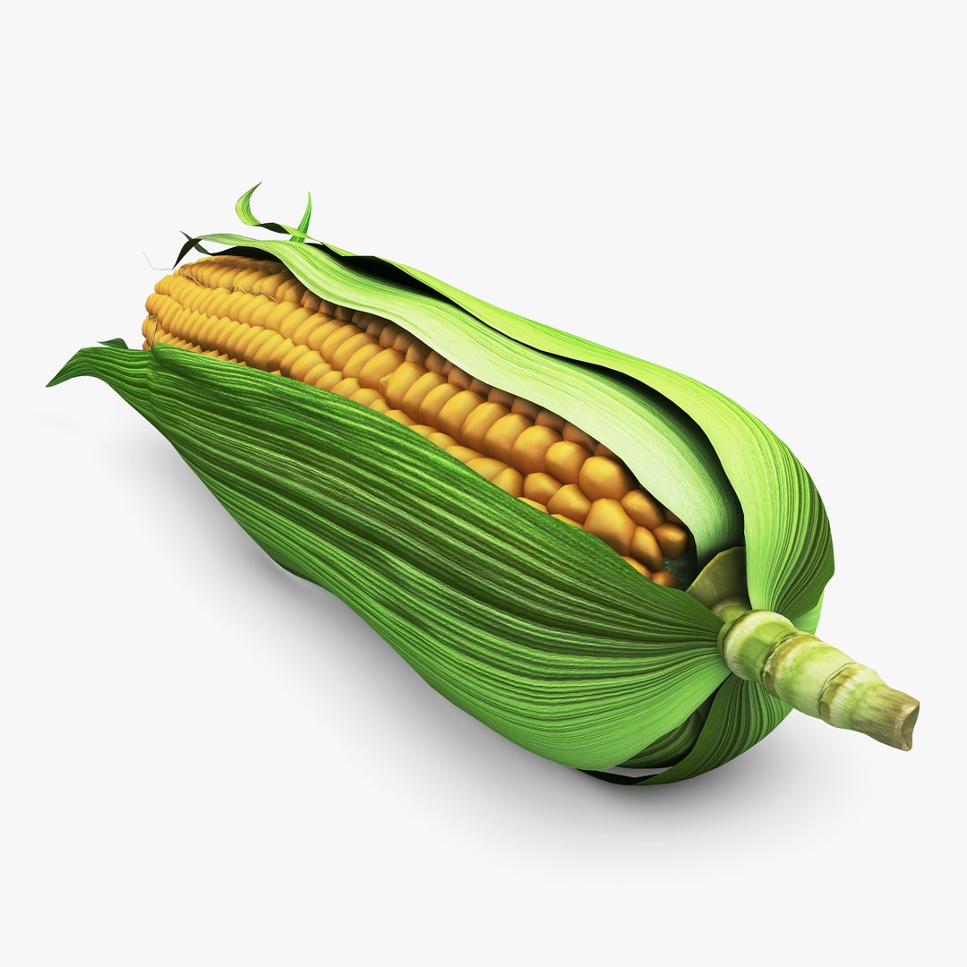 3D Corn Cob 1 - TurboSquid 1508659