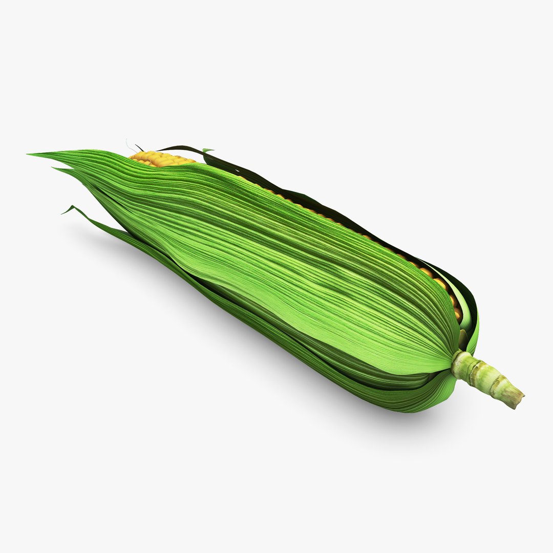 3D Corn Cob 1 - TurboSquid 1508659
