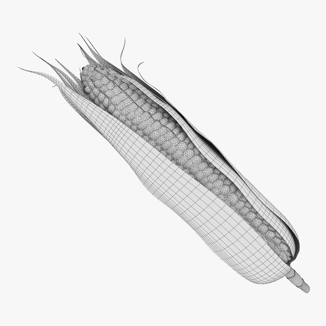 3D Corn Cob 1 - TurboSquid 1508659