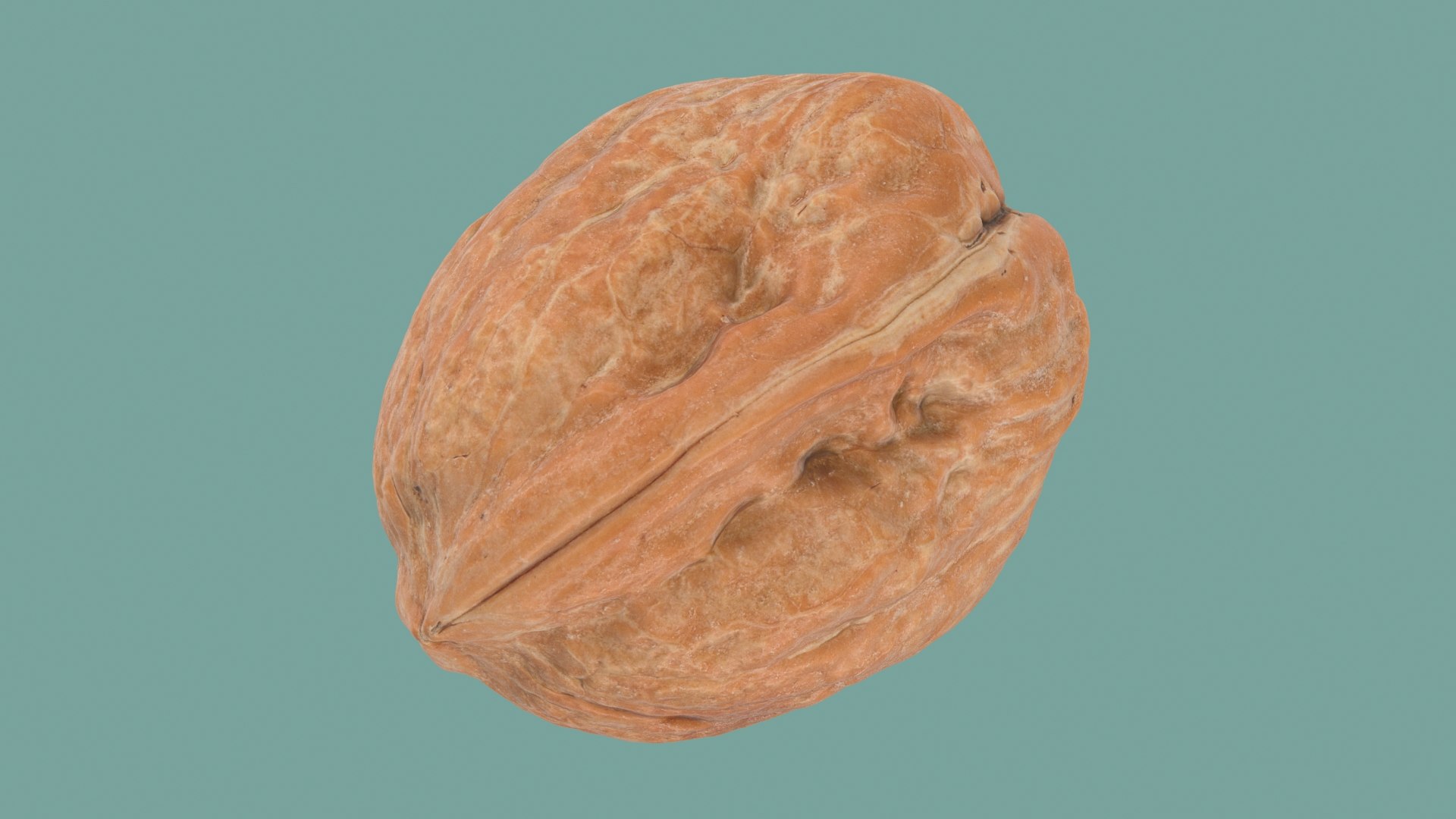 Walnut Shell Collection 3D Model - TurboSquid 2039210