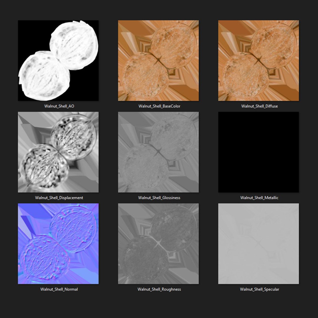 Walnut Shell Collection 3D Model - TurboSquid 2039210