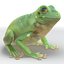 3d Model Australian Green Tree Frog