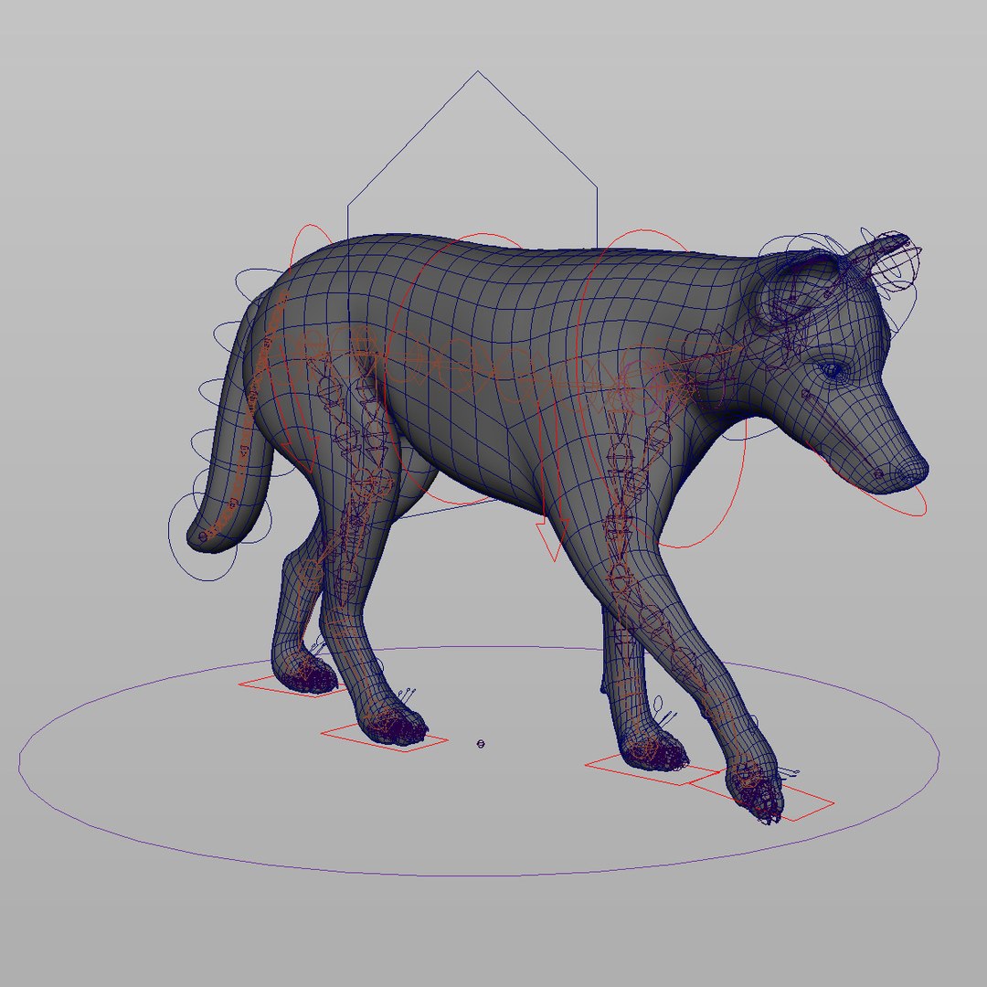 Wolf Fur Animations 2 3d Model