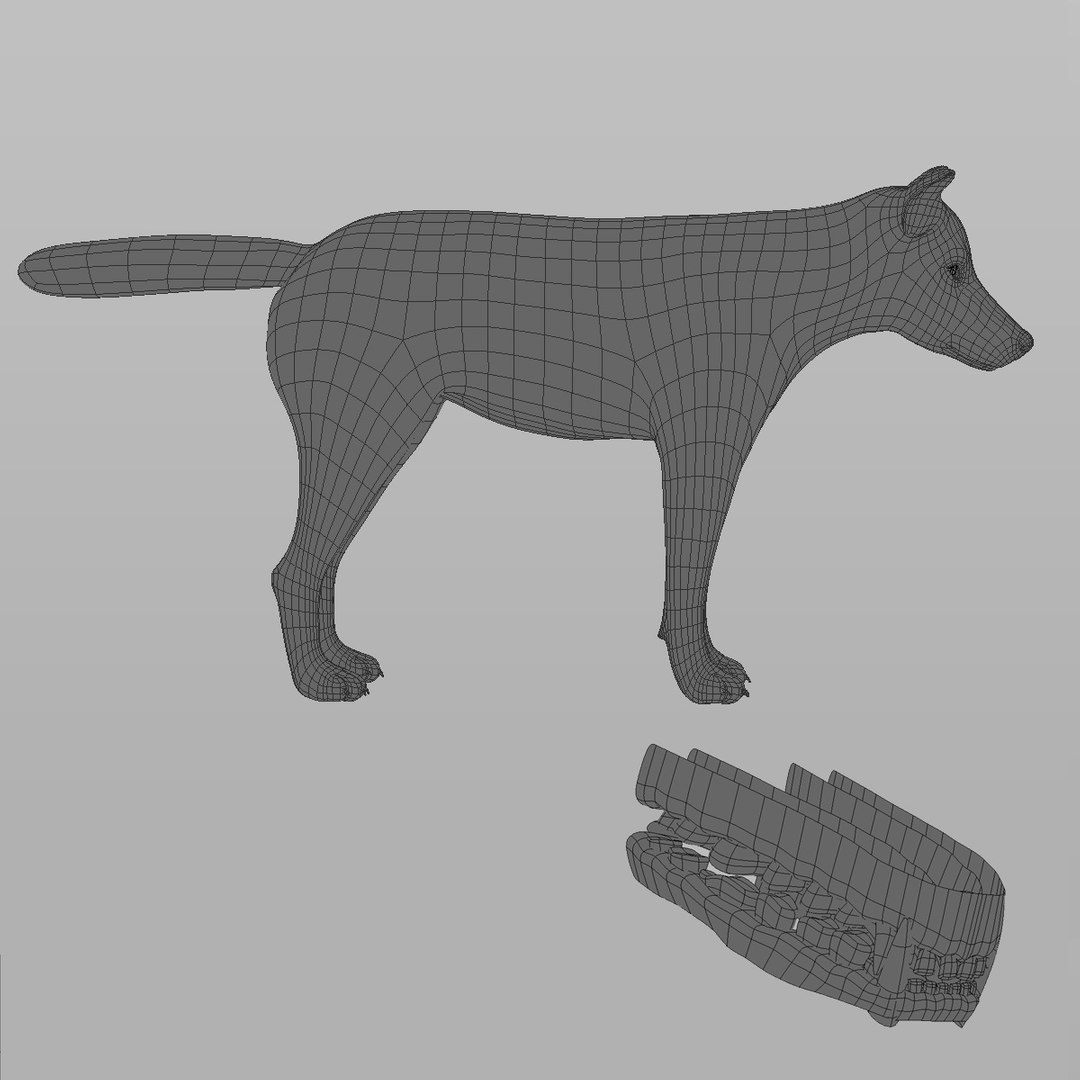 Wolf Fur Animations 2 3d Model