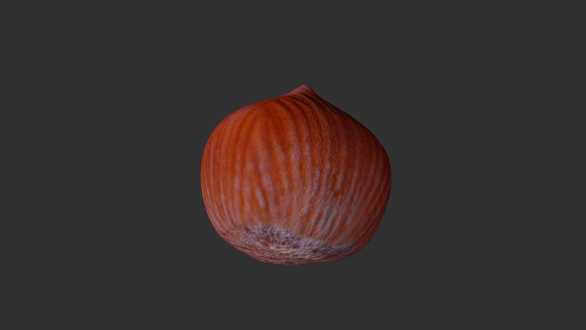 Hazelnut 3D Model - TurboSquid 1778930