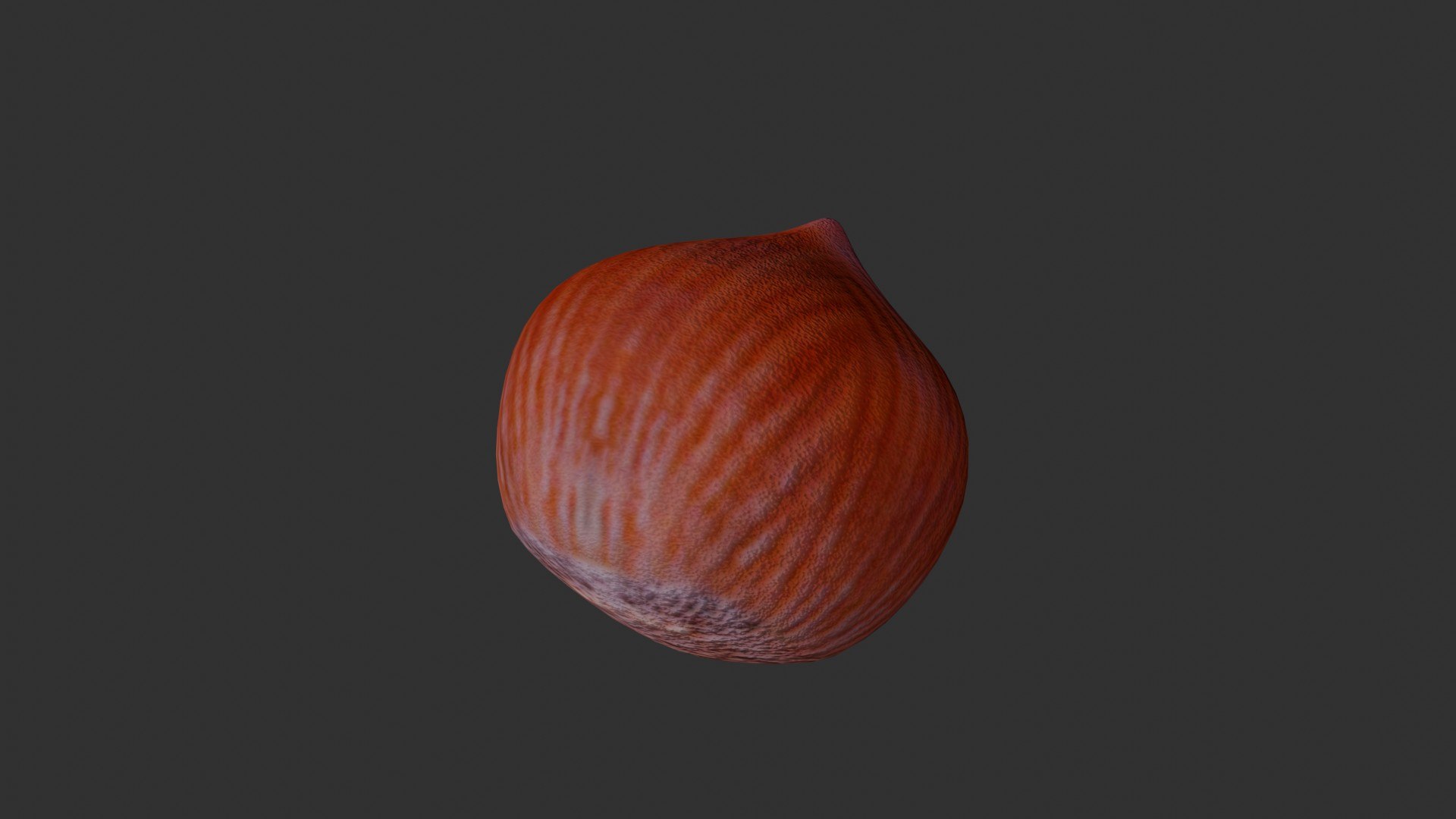 Hazelnut 3D Model - TurboSquid 1778930