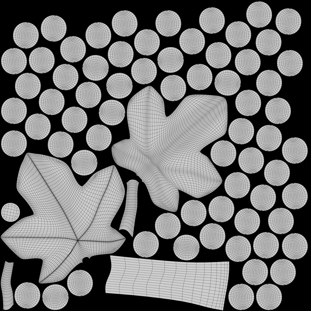 3D Grapes With Leaf Stylized Model - TurboSquid 2360405