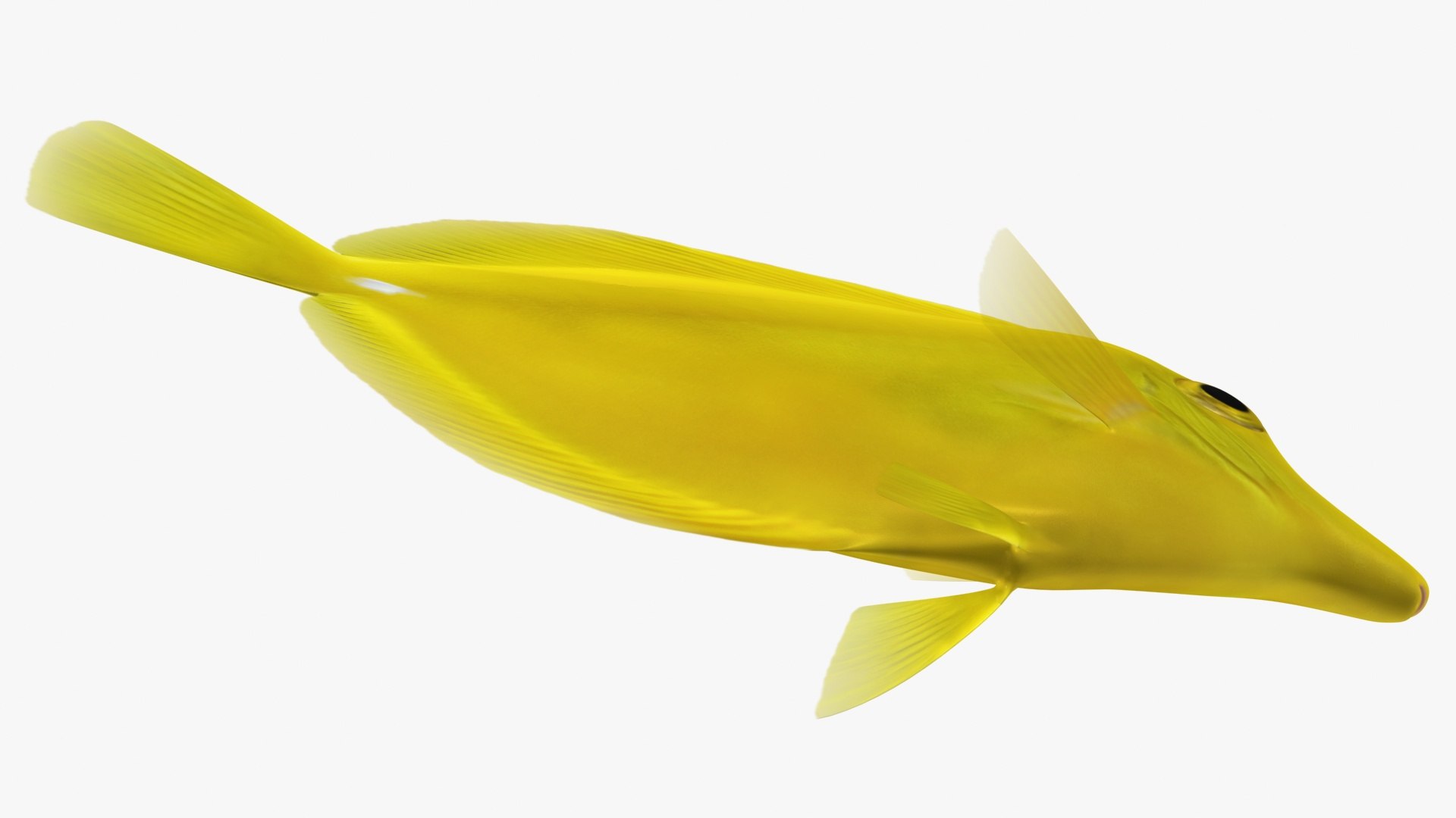 Yellow Tang Animation Bones 3D - TurboSquid 1506905