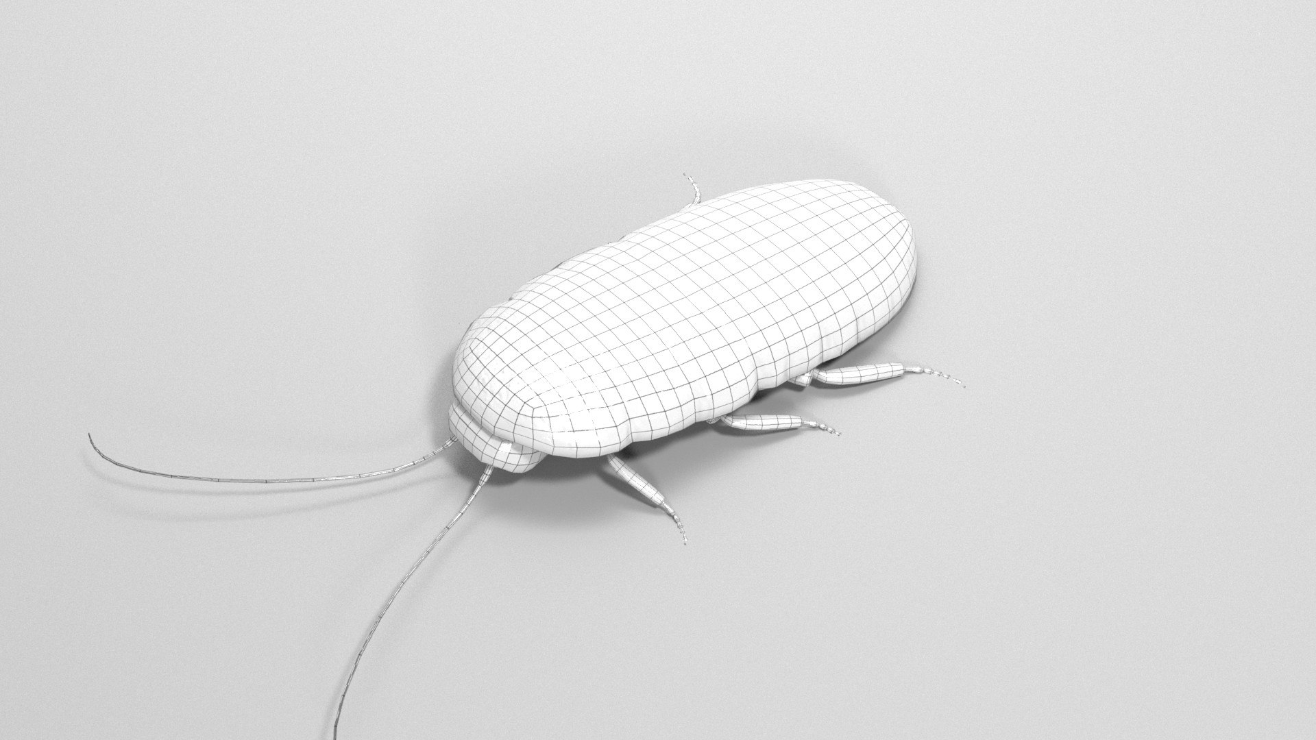 Cockroach 3D model - TurboSquid 1866862
