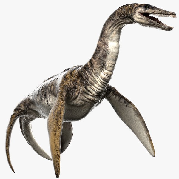 Plesiosaurus (Rigged) (1) 3D 모델 - TurboSquid 1416121
