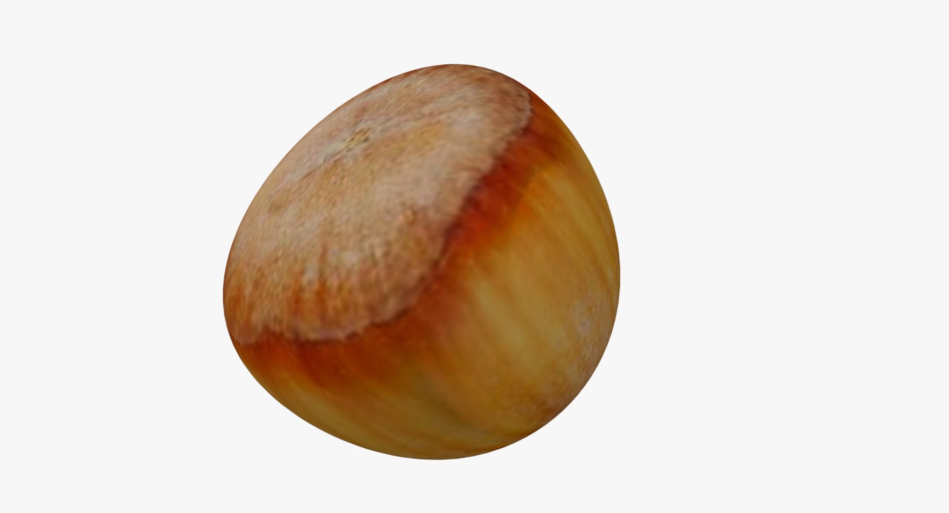 Hazelnut Realistic 3D Model - TurboSquid 1153148